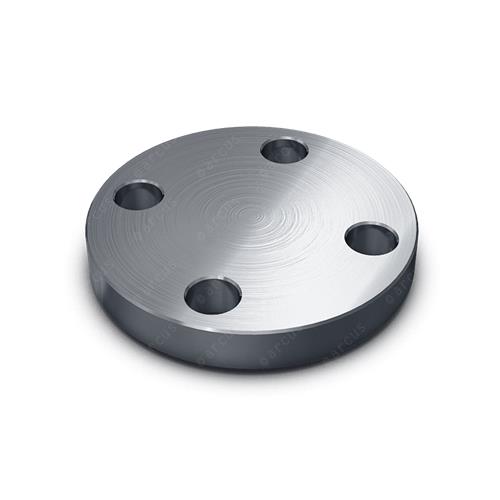 BLIND 2500# RTJ 316L-EU 1/2 - Flanges ASTM - Home