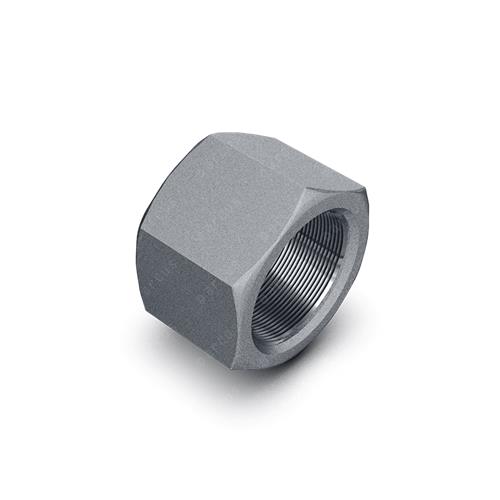 HEX CAP BSP 316 3 - BSP Fittings - Home